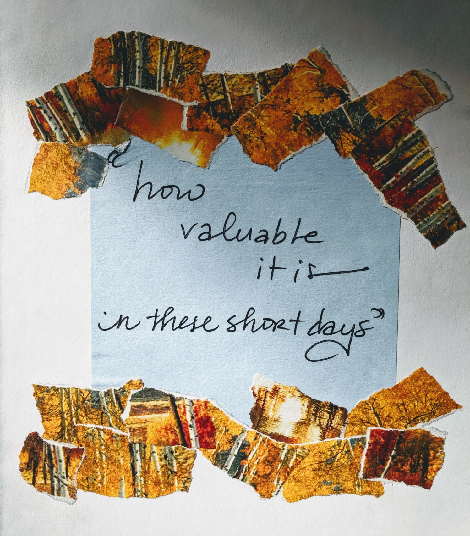 The Memory Book Project | Tara K. Shepersky